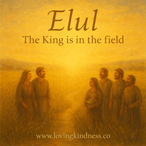 Study Torah Online: Live and Interactive Torah Learning with Rabbi ...